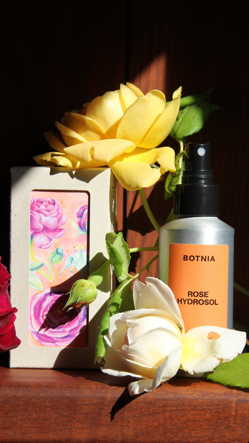 Botnia Skincare: Natural, Effective, and Sustainable Skincare Products ...
